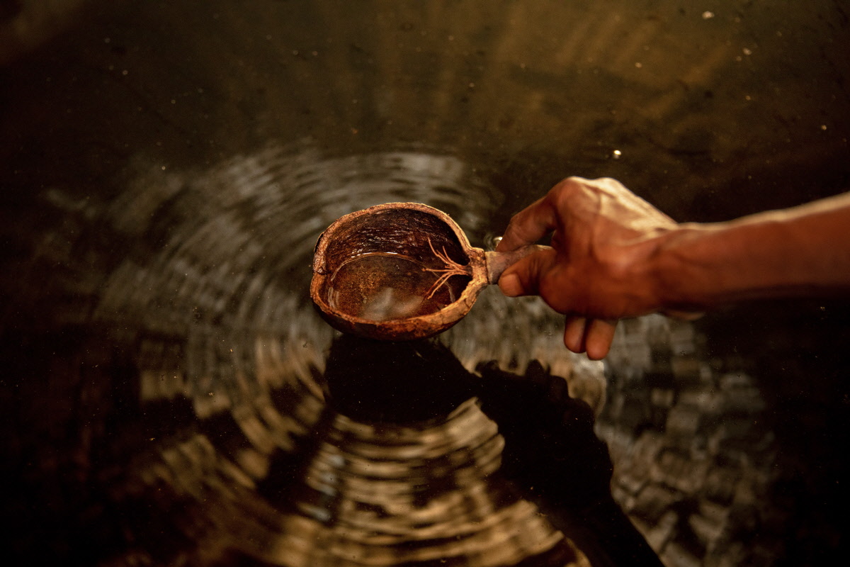 Panos Pictures - Baobab, Nature's Water Tanks