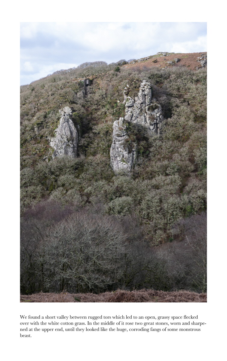 Panos Pictures
