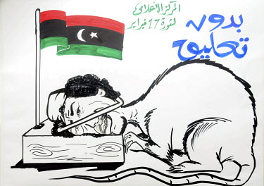 Panos Pictures Stories Gaddafi Duck