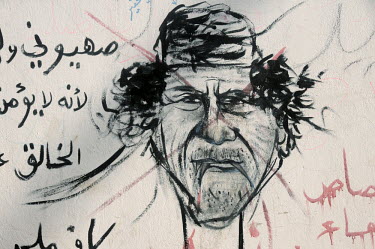 Panos Pictures Stories Gaddafi Duck