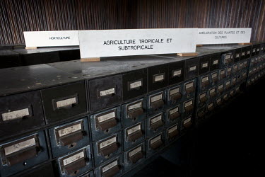 Panos Pictures - Stories - Yangambi Research Station