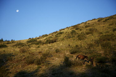 Panos Pictures - Stories - Tuva Reborn