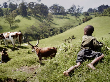 Panos Pictures - Stories - DR Congo's Ongoing Struggle