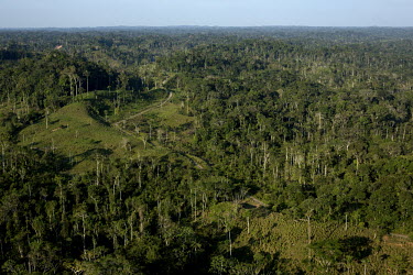 Panos Pictures - Stories - Correa's Conundrum