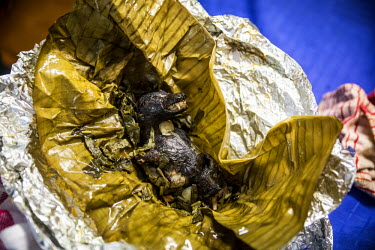 Panos Pictures - Stories - Between a Rock and a Far Place