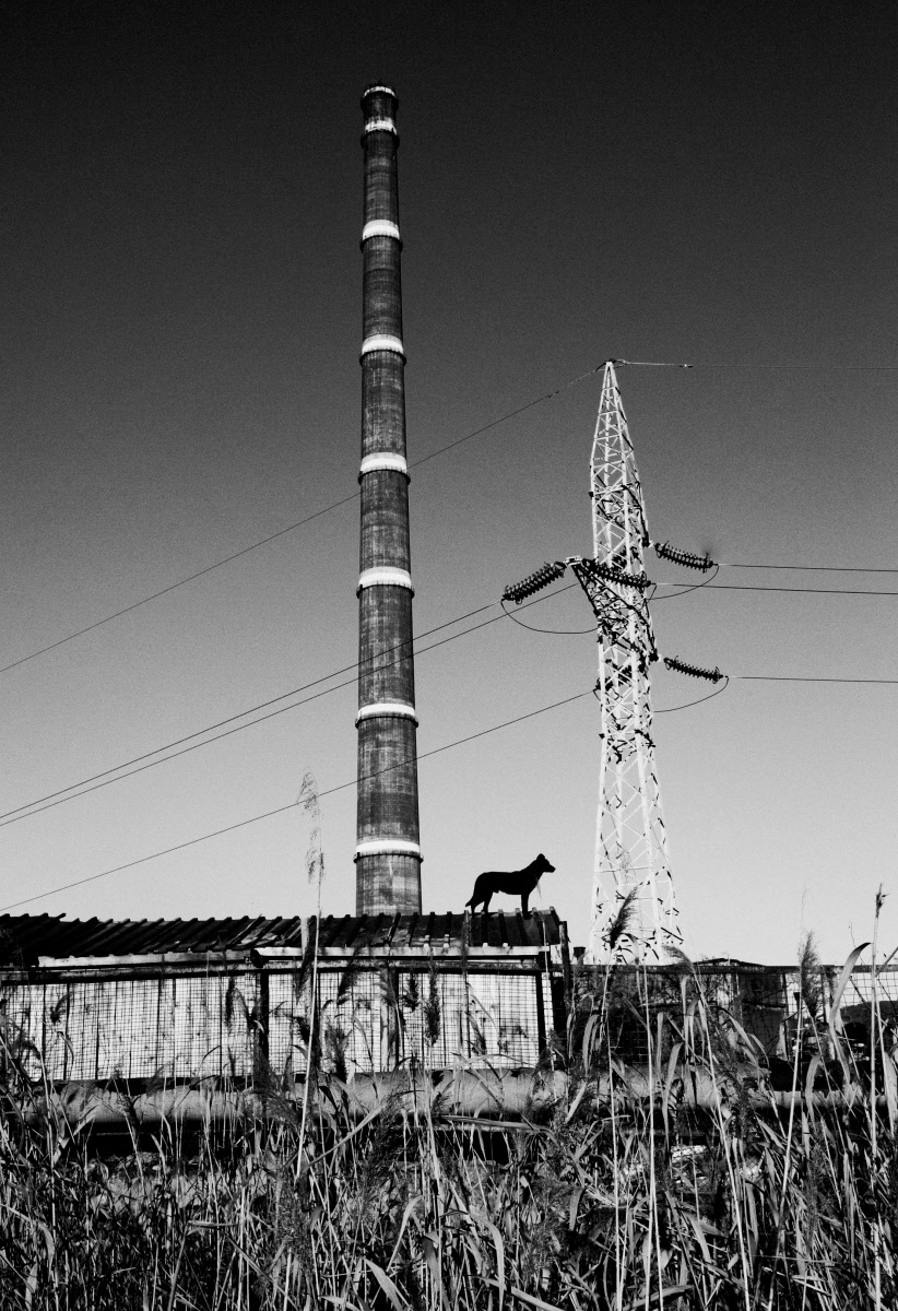 Phoenix Copper Smelter The Sooty Roots Of The Business | OCCRP