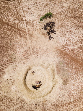 Panos Pictures - Church Forests