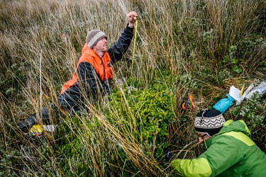 Panos Pictures - In Search of the Southernmost Tree