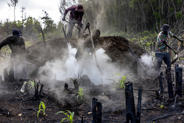 Panos Pictures - Carbon Trading