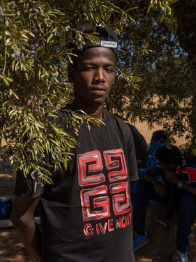 Panos Pictures - Under the Olive Trees